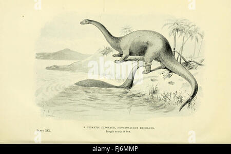 A paleontological exploration of extinct animals, showcasing ...