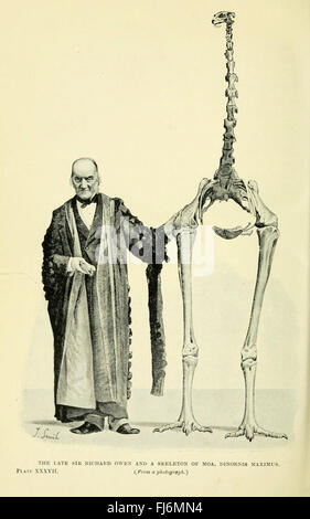 Extinct Monsters and Creatures: A Study of Prehistoric Life and Extinct ...