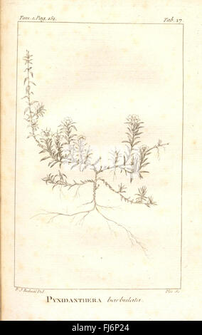 The American Flora – An Illustrated Study of North American Medicinal ...