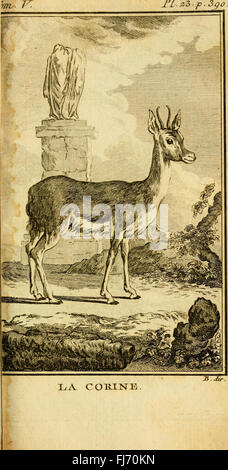 Complete Works of Count Buffon - History of Quadruped Animals (1775 ...