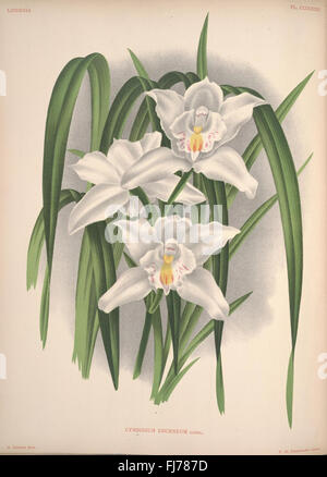 Lindenia - Iconographie des Orchidee, Missouri Botanical Garden, Peter ...