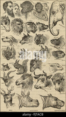 New Physiognomy : or signs of character, as manifested through ...