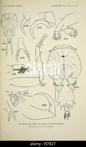 North American parasitic copepods, belonging to the family Caligidae ...