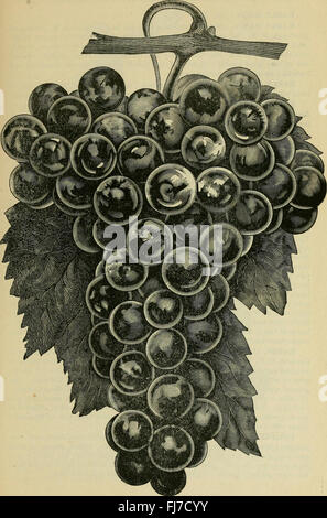 A 1893 guide on grape cultivation, focusing on native grape varieties ...