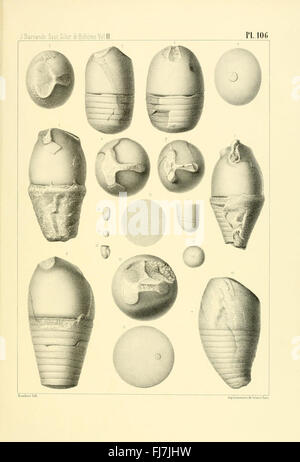 Paleontological study of Silurian fossils from central Bohemia ...