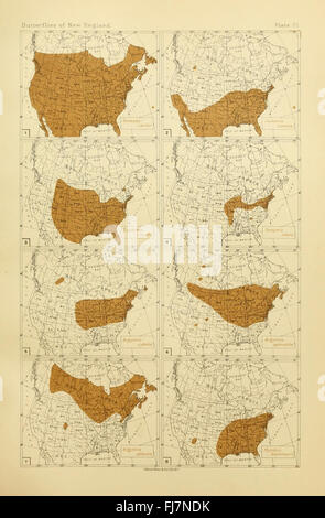 Comprehensive guide to butterflies of the eastern US and Canada ...