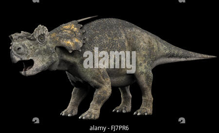 Achelousaurus is a genus of centrosaurine ceratopsid dinosaur that ...
