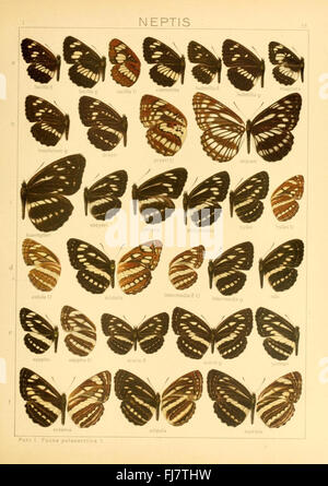 A comprehensive study of Lepidoptera, focusing on the characteristics ...