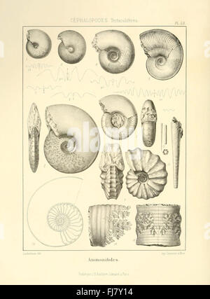 French paleontology work detailing the fossil record, including ...