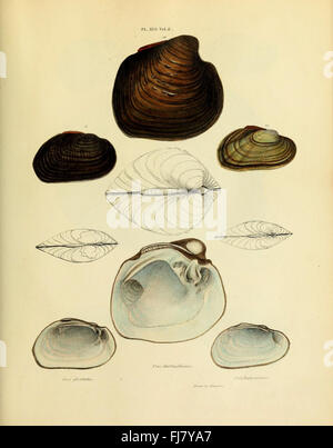 A scientific journal covering a wide range of topics in natural science ...