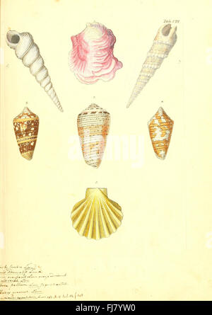 An 18th-century pictorial work featuring detailed illustrations of ...