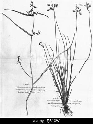 This historical account details a voyage to Botany Bay, Australia, in ...