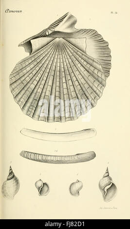 Catalogs and collections, Harvard University, MCZ, Ernst Mayr Library ...