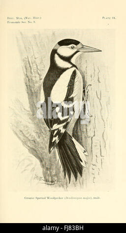 A study of bird species that benefit agriculture, highlighting their ...