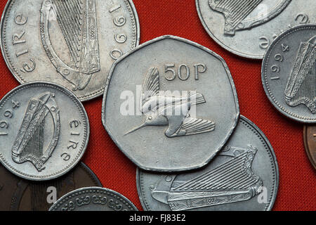 Coins of Ireland. Woodcock depicted in the Irish 50 pence coin Stock ...