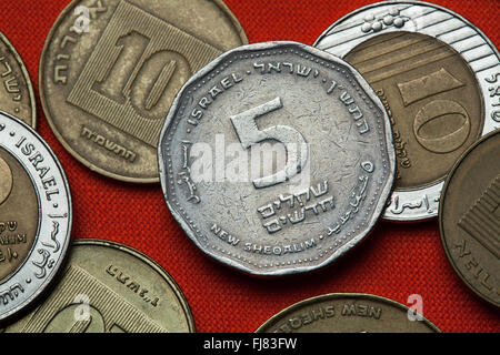 Coins of Israel. Israeli five new shekels coin Stock Photo - Alamy