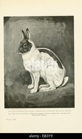 British Mammals: Fossil Species and Living Mammals of Great Britain ...