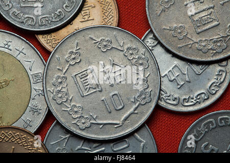 Coins of Taiwan. Taiwan 10 dollars coin Stock Photo - Alamy