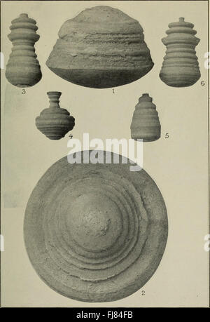 The Bulletin of the Geological Society of America is a scientific ...