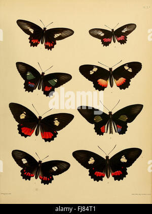 A comprehensive catalog of the Lepidoptera collection at the British ...