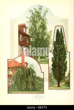 Chase fruit and flowers in natural colors (6237578612 Stock Photo - Alamy