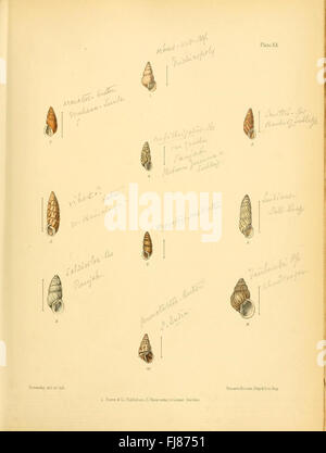 A detailed work on the mollusks of India, focusing on their ...