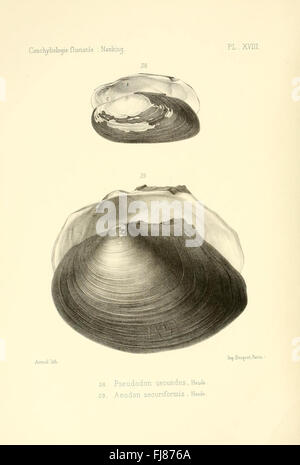 A study of freshwater mollusks in the Nanking region and central China ...