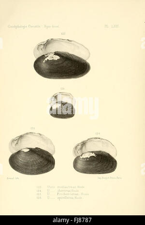 A study of freshwater mollusks in the Nanking and Central China regions ...