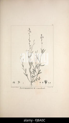 Illustration and description of newly discovered and lesser-known ...