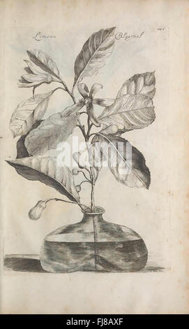 A botanical description of the flora of the Netherlands, focusing on ...
