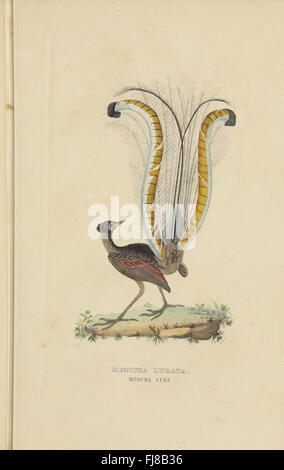 A French dictionary of natural sciences covering a wide range of ...