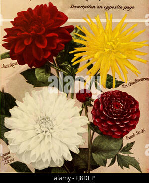 Dingee guide to rose culture (1913): A comprehensive guide to the ...