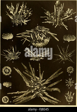 A historical document from 1936, featuring discovery reports with ...
