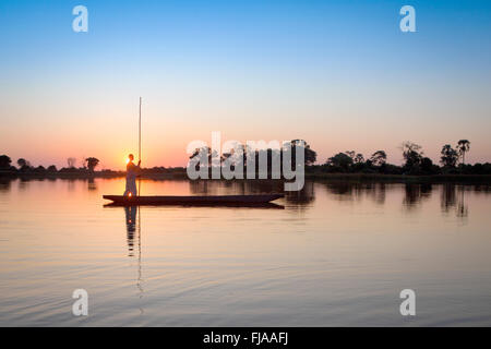 Reeds of the Okavango Delta in Botswana Stock Photo - Alamy