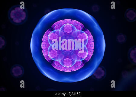 Common bacteria infecting human Stock Photo - Alamy