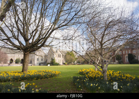 St Luke's Campus, Exeter University, Heavitree, Exeter, Devon Stock ...