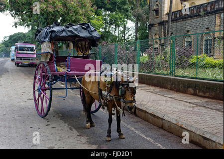 Tonga (Indian Cart Stock Photo - Alamy