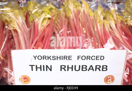 Forced Yorkshire rhubarb stems for sale on a market stall at the ...