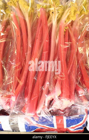 Forced Yorkshire rhubarb stems for sale on a market stall at the ...