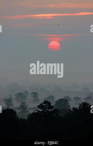 Sunrise over Cheshire towards Beeston Castle from Borras Head Wrexham ...