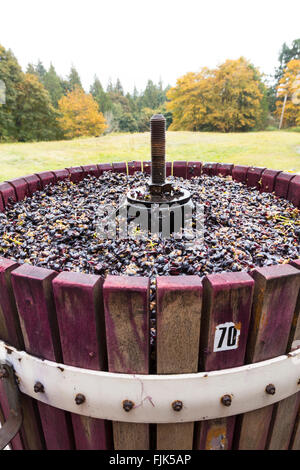 Wooden wine press with red must for pressing grapes to produce wine ...