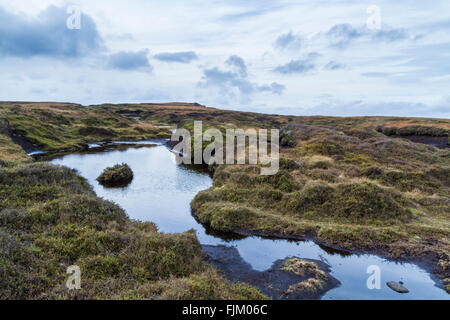 A pool in the peat bogs on Great Coum, above Dentdale, Yorkshire Dales ...