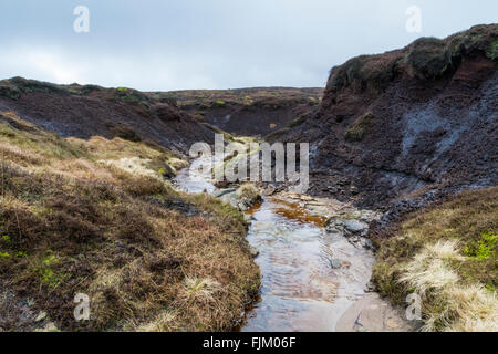 A stream flowing across peatland moor causing erosion of the peat, and ...