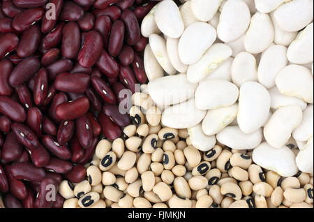Dried raw butter bean or also called lima bean (lat. Phaseolus lunatus ...