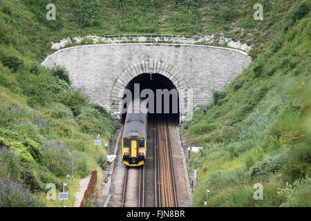 A train going into a tunnel Stock Photo - Alamy