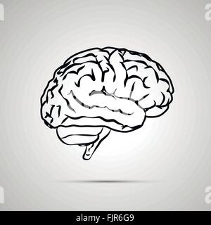 Human brain symbol icon vector illustration graphic design Stock Vector ...