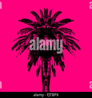 Symetrical Palm Tree Stock Photo - Alamy