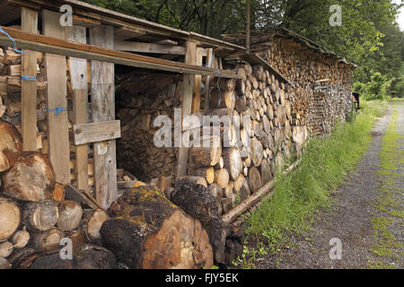 Stacked logs, Ehrwald, Austrian Alps, Austria Stock Photo - Alamy