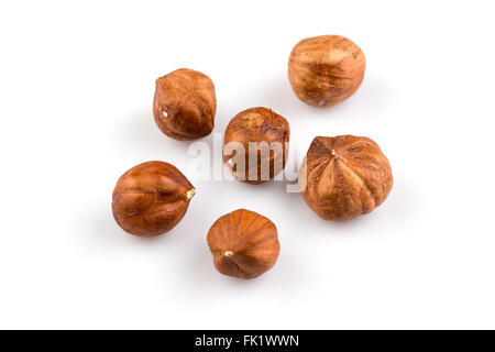 Hazelnuts nut isolated on the white background. Front views Stock Photo ...