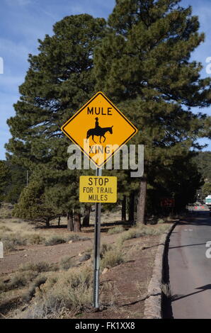mule crossing sign grand canyon village Stock Photo - Alamy